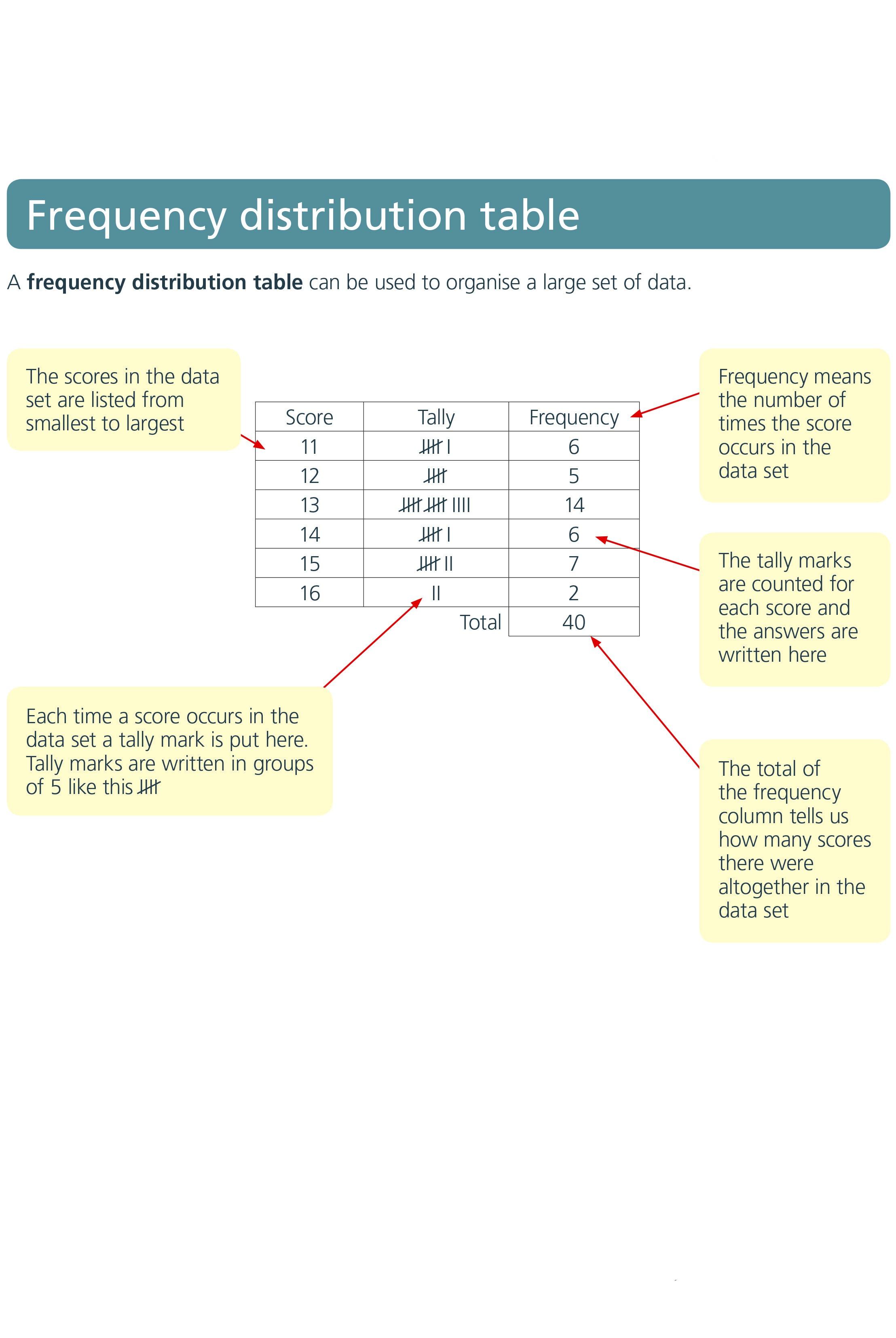 Mathematics | Rostad Memorial High School